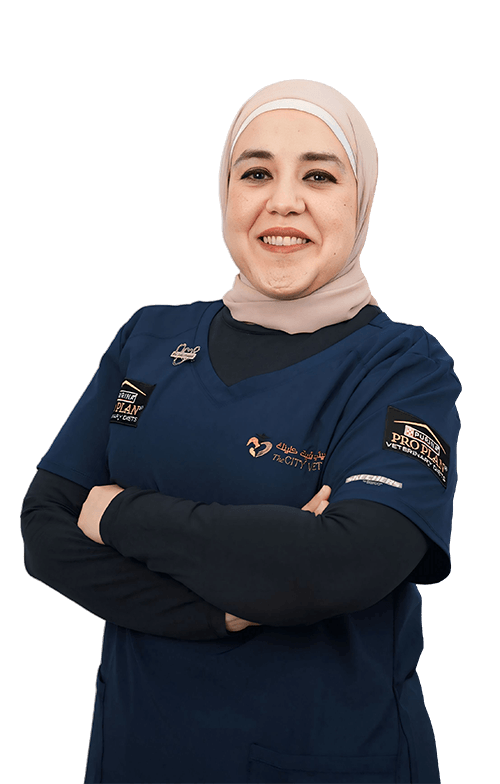 The City Vet Clinic | No.1 Veterinary Clinic Best Vet Hospital Dubai